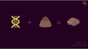 How to make Seed in Little Alchemy 2